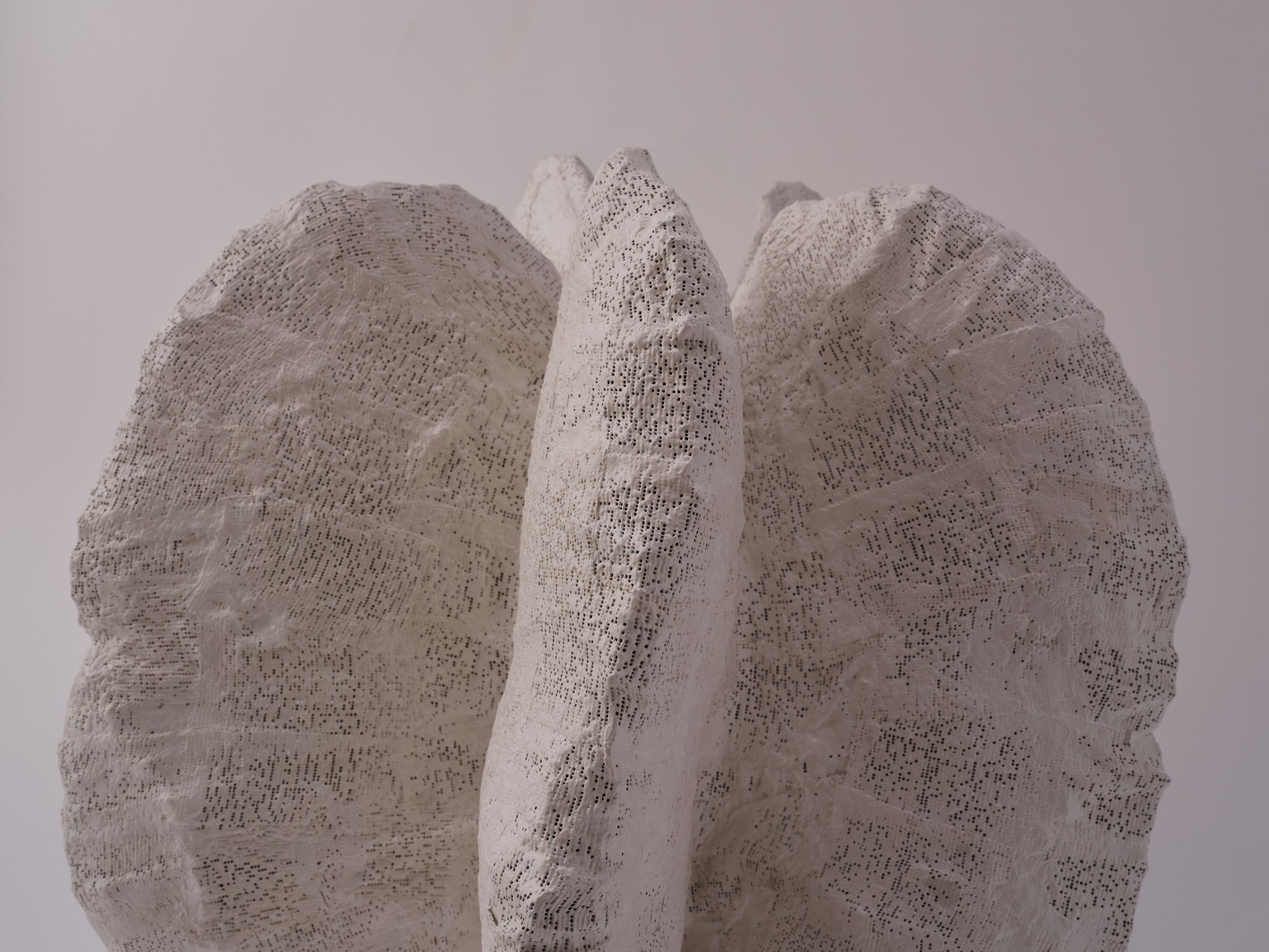 alp light 351 — alp design